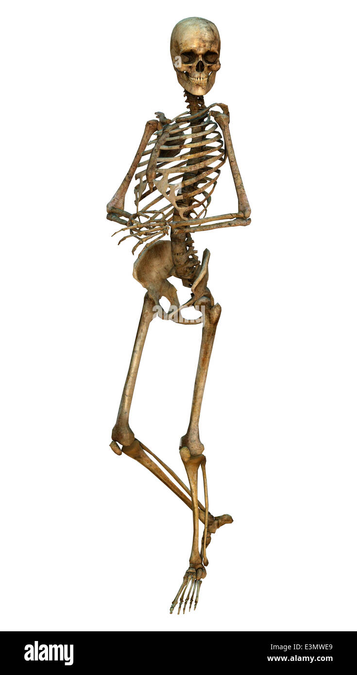 3D digital render of an old human skeleton isolated on white background ...