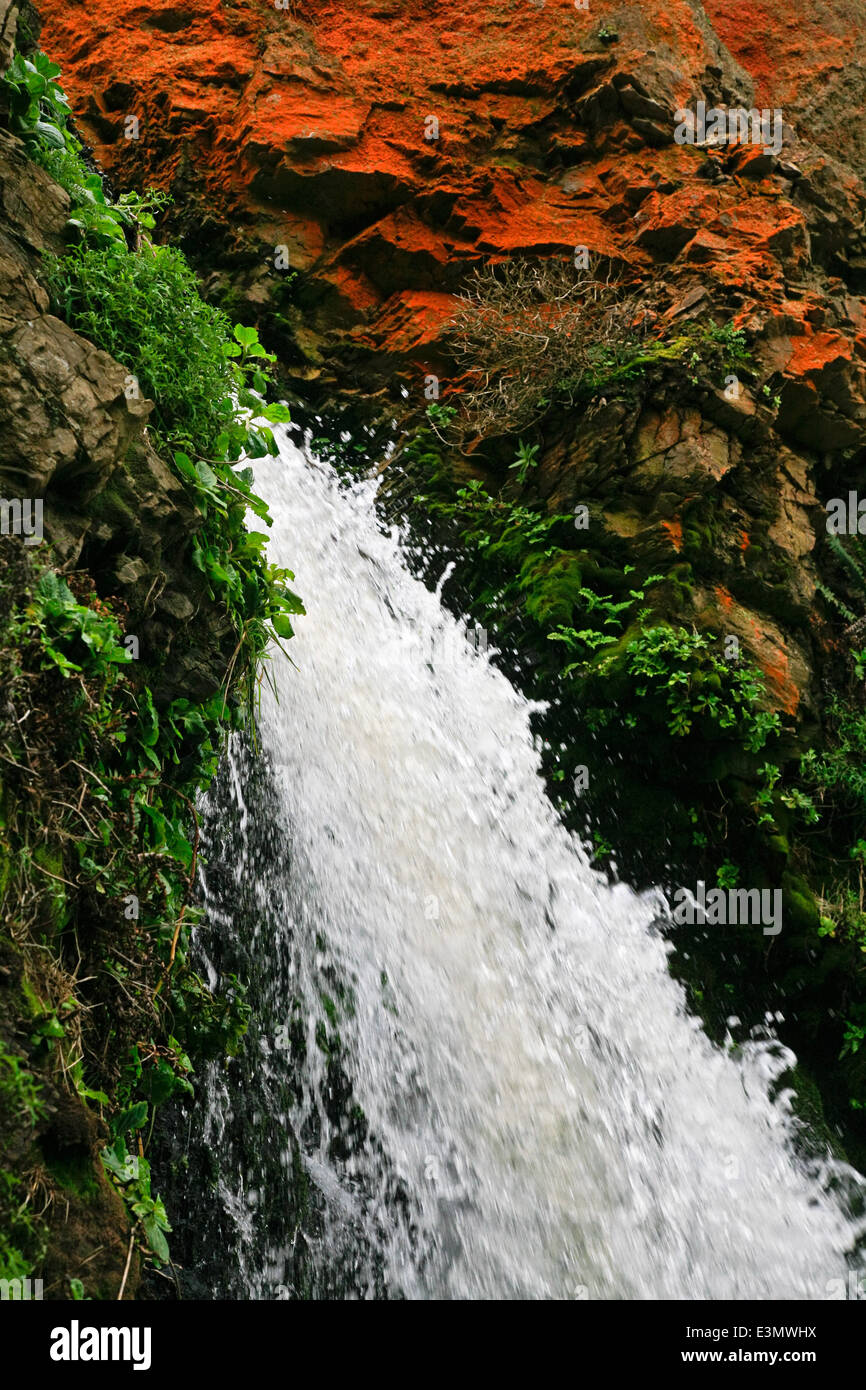 Upper ALAMERE FALLS on the COAST TRAIL - POINT REYES NATIONAL SEASHORE ...