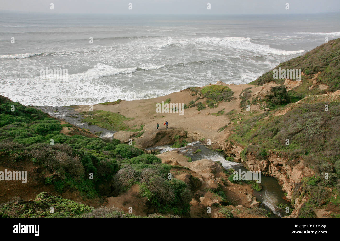 ALAMERE FALLS drops into the PACIFIC OCEAN - POINT REYES NATIONAL ...