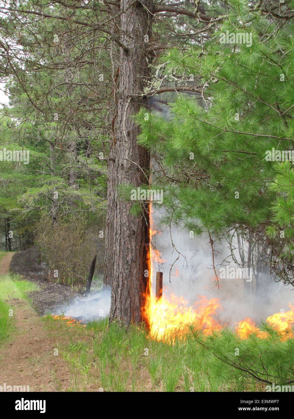 The Back fire, a wildfire in Michigan’s Upper Peninsula, burned part of ...