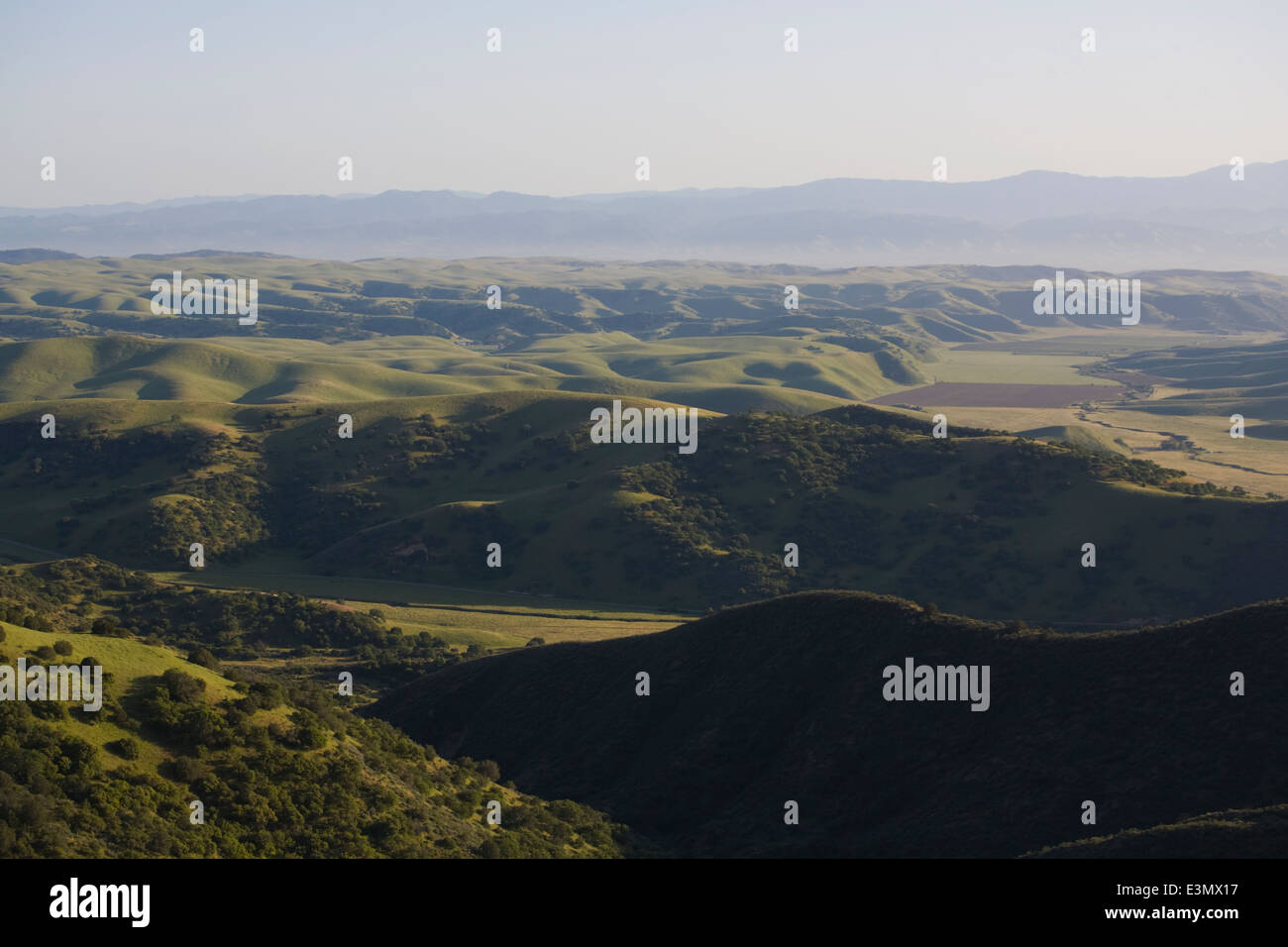 A Coastal Range cattle ranch in central CALIFORNIA Stock Photo - Alamy