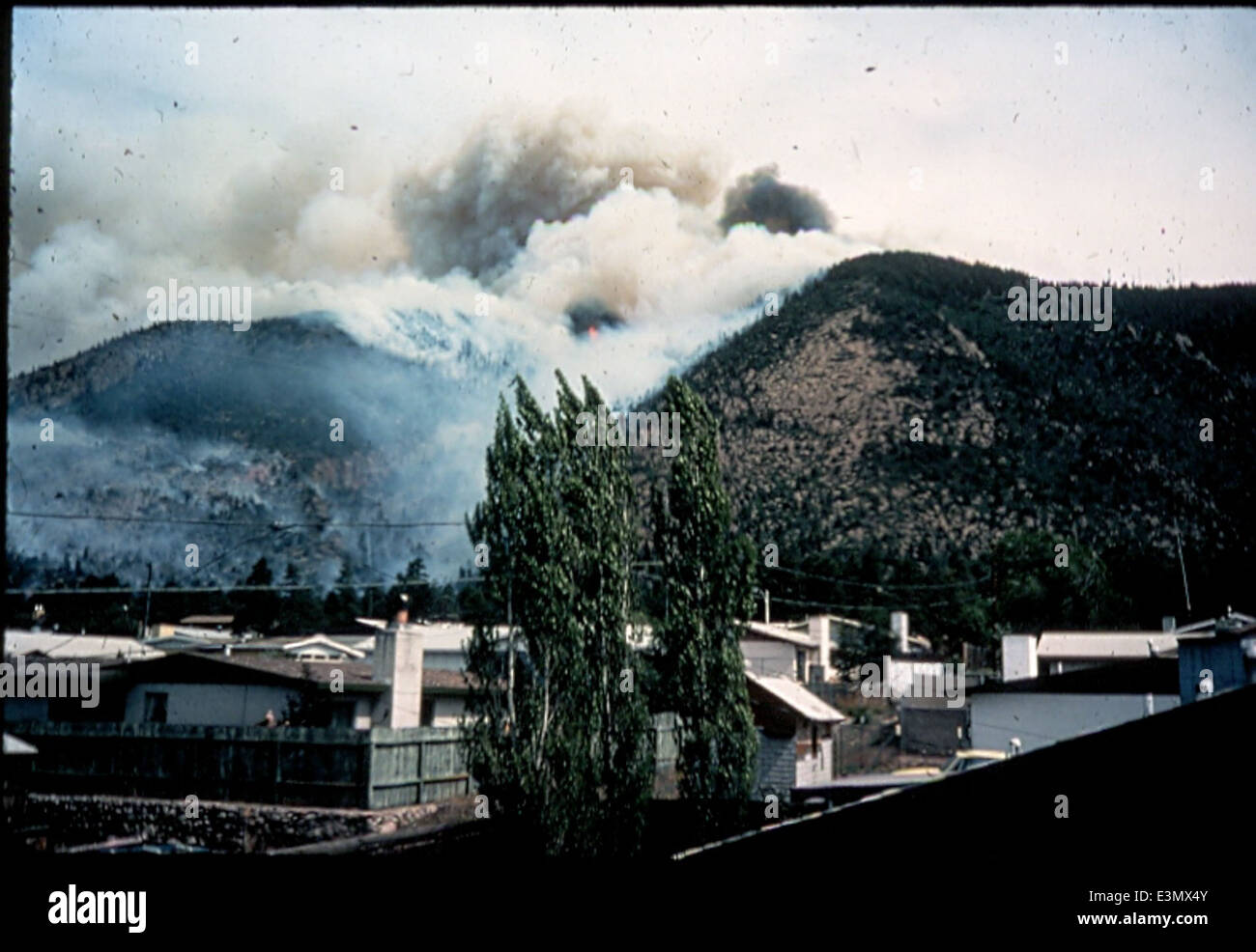 The Radio Fire of 1977 impacted the northern region, affecting forest ...