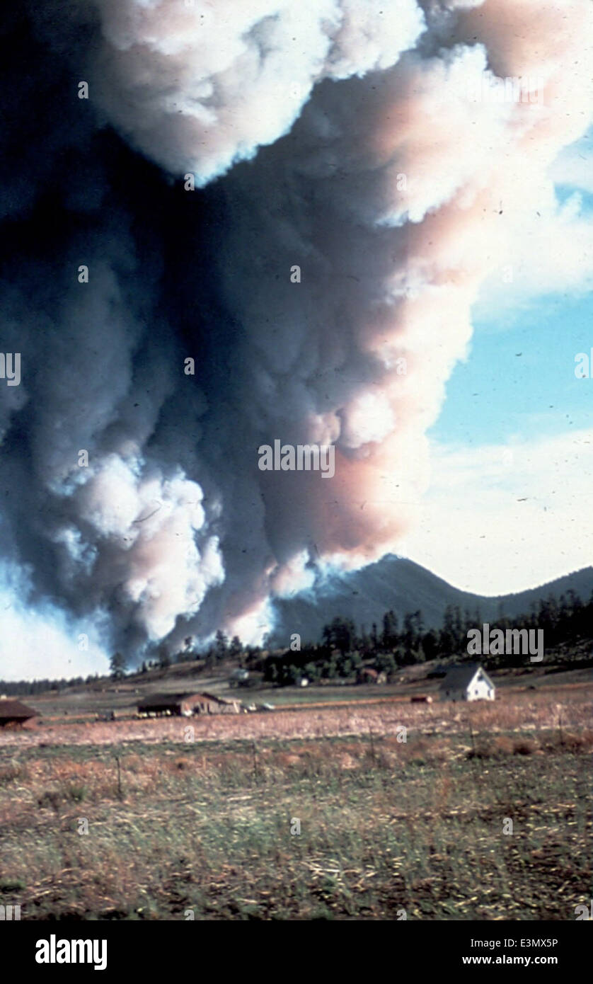 The Radio Fire of 1977 was a significant wildfire that impacted natural ...