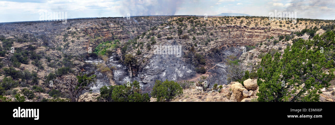 A panoramic view of the Canyon Fire in Jacks Canyon, Arizona, showing ...