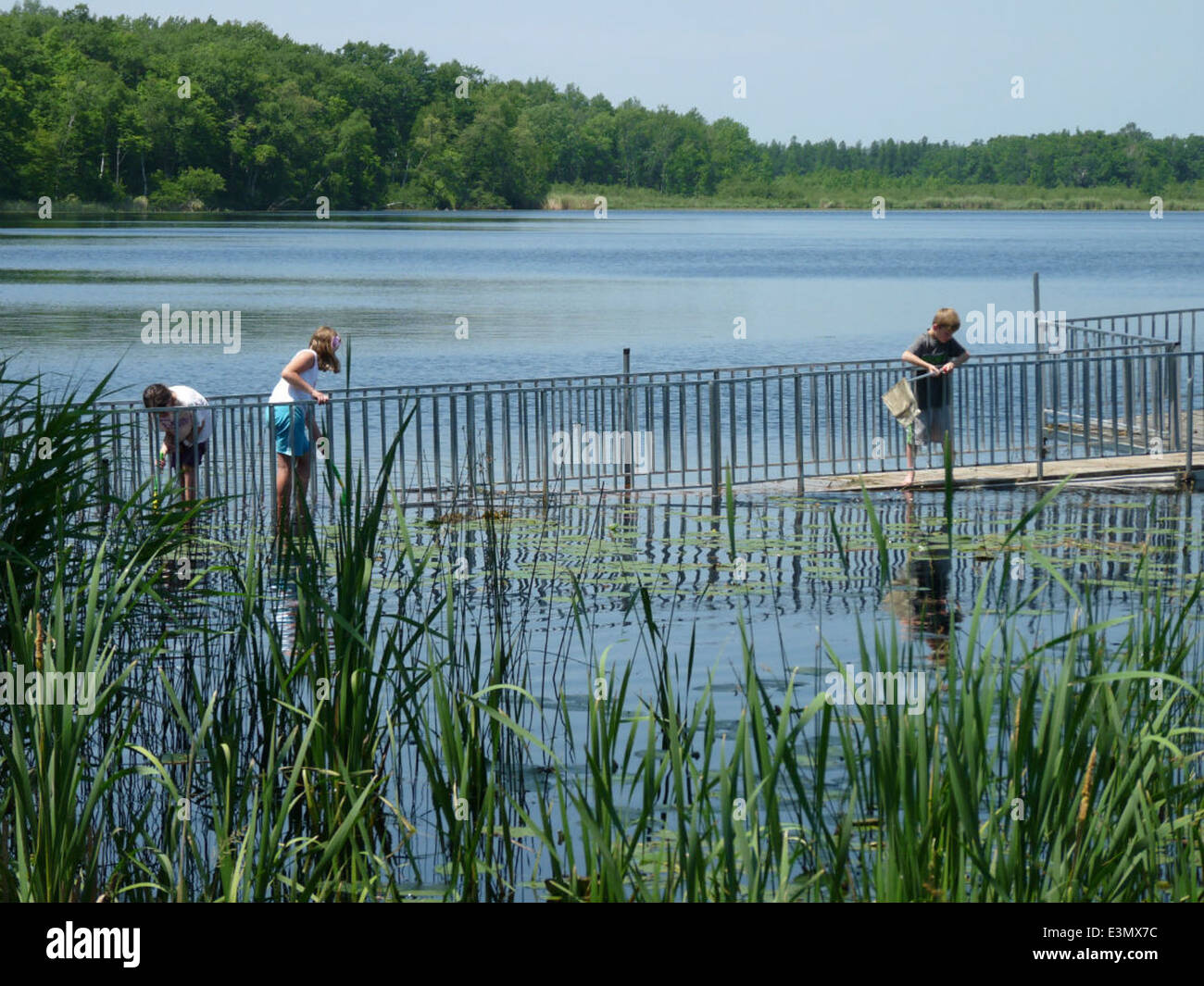 The flooded dock at Rice Creek National Wildlife Refuge, located in ...