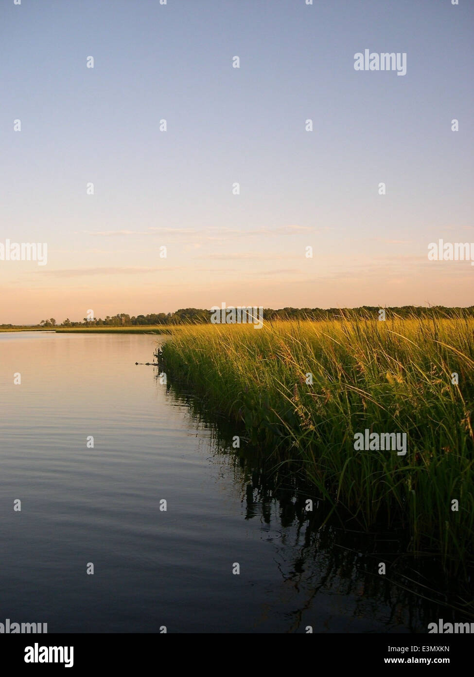The Bad River Sloughs, managed by the Bad River Band of Lake Superior ...