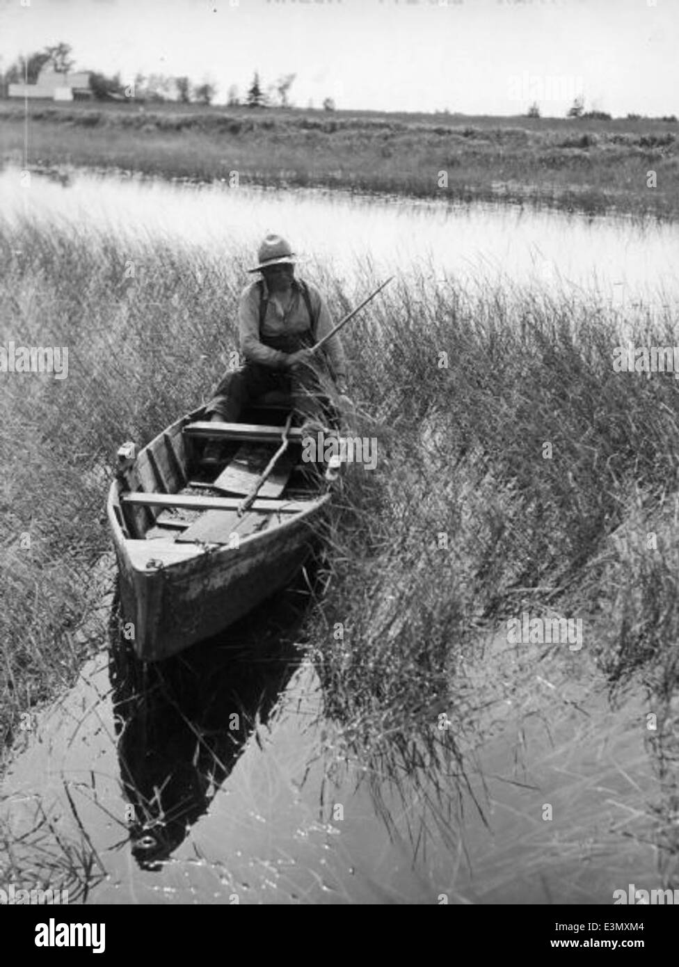 Joe Stoddard is seen harvesting in the Bad River area, which lies ...