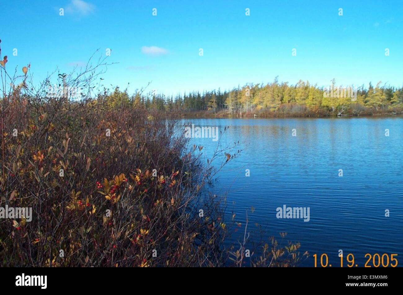 Honest John Lake, located within the Bad River Sloughs in Wisconsin, is ...