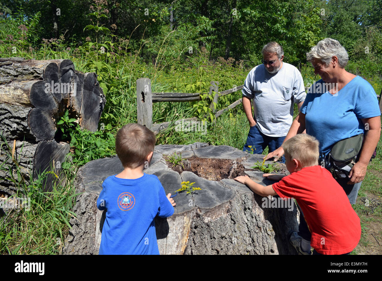 Hackmatack National Wildlife Refuge in Illinois offers a glimpse into ...