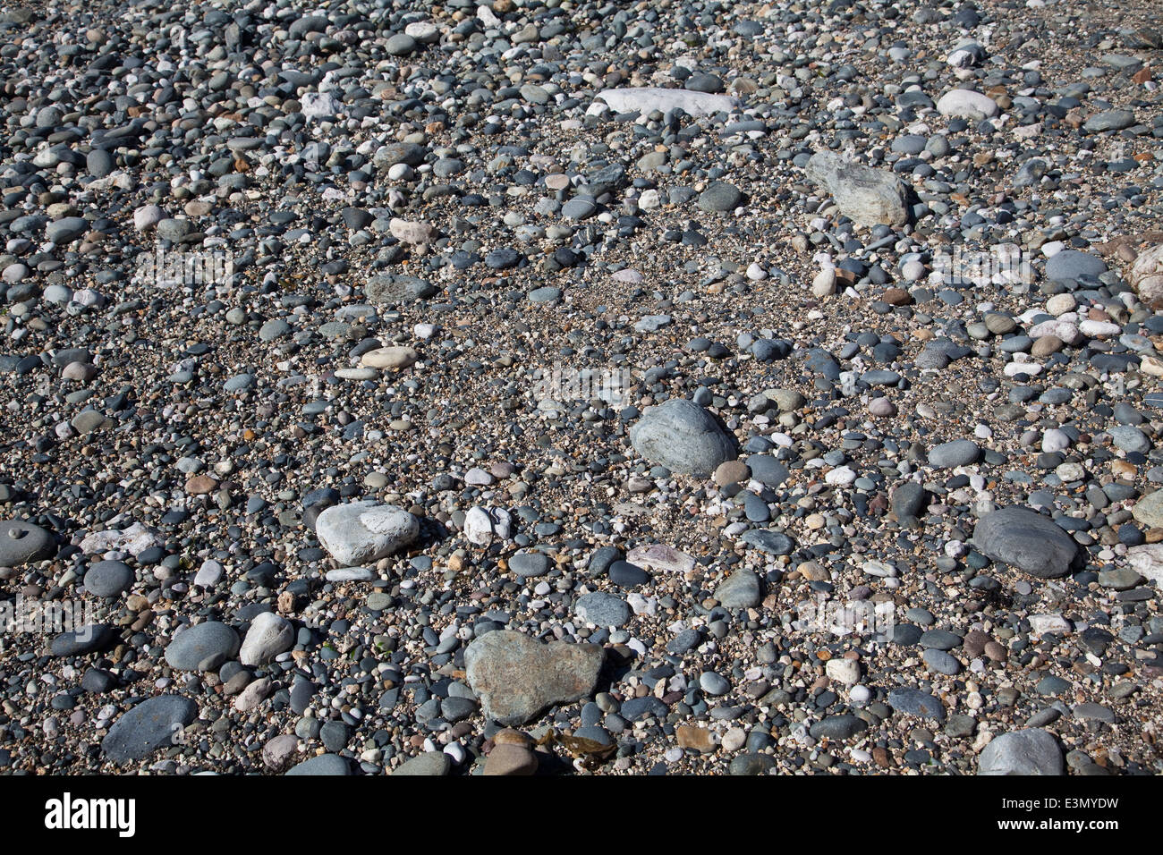 Pebbles and stones on the foreshore hi-res stock photography and images ...