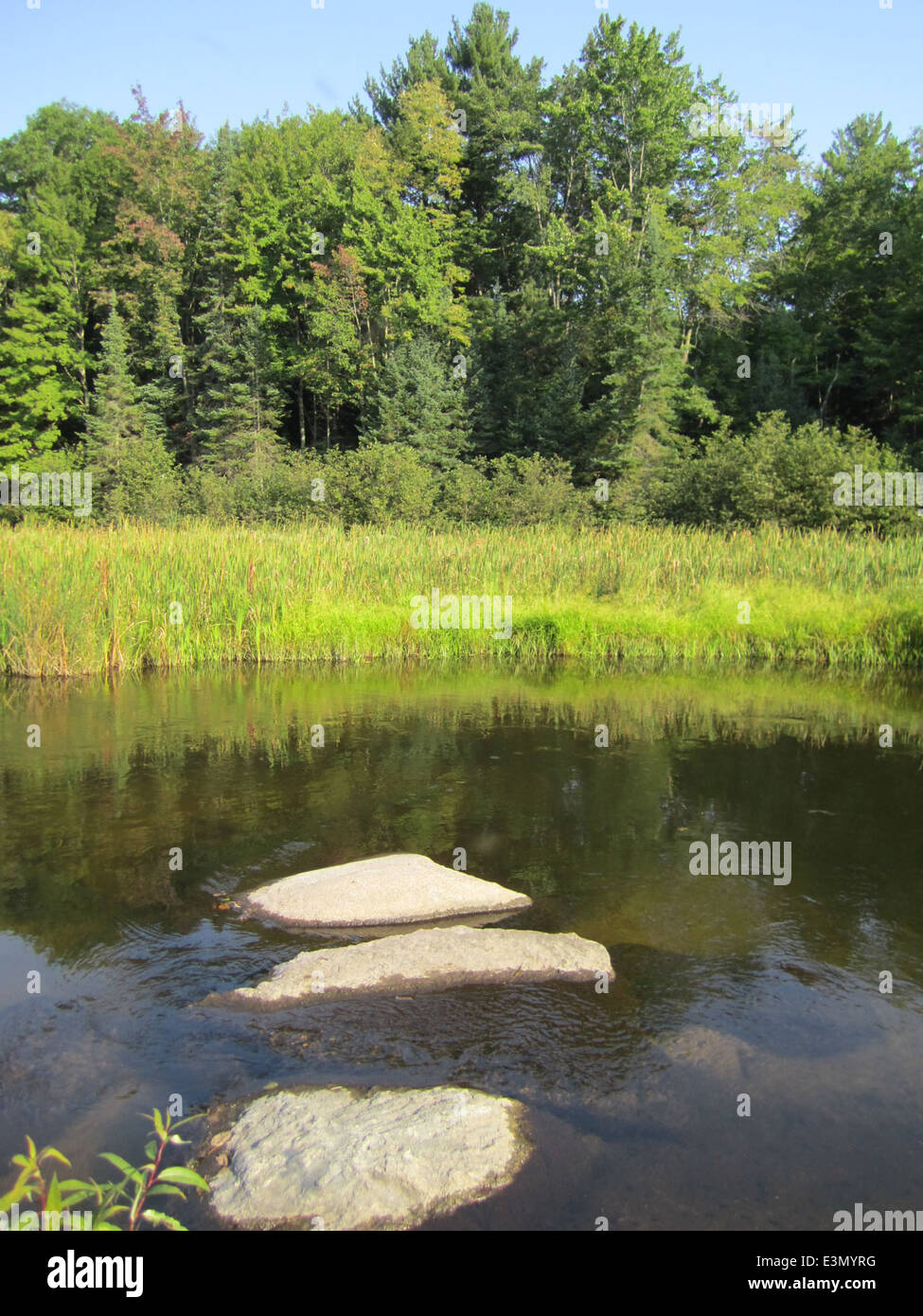 The Stockbridge-Munsee Band of Mohican Indians received a Tribal ...