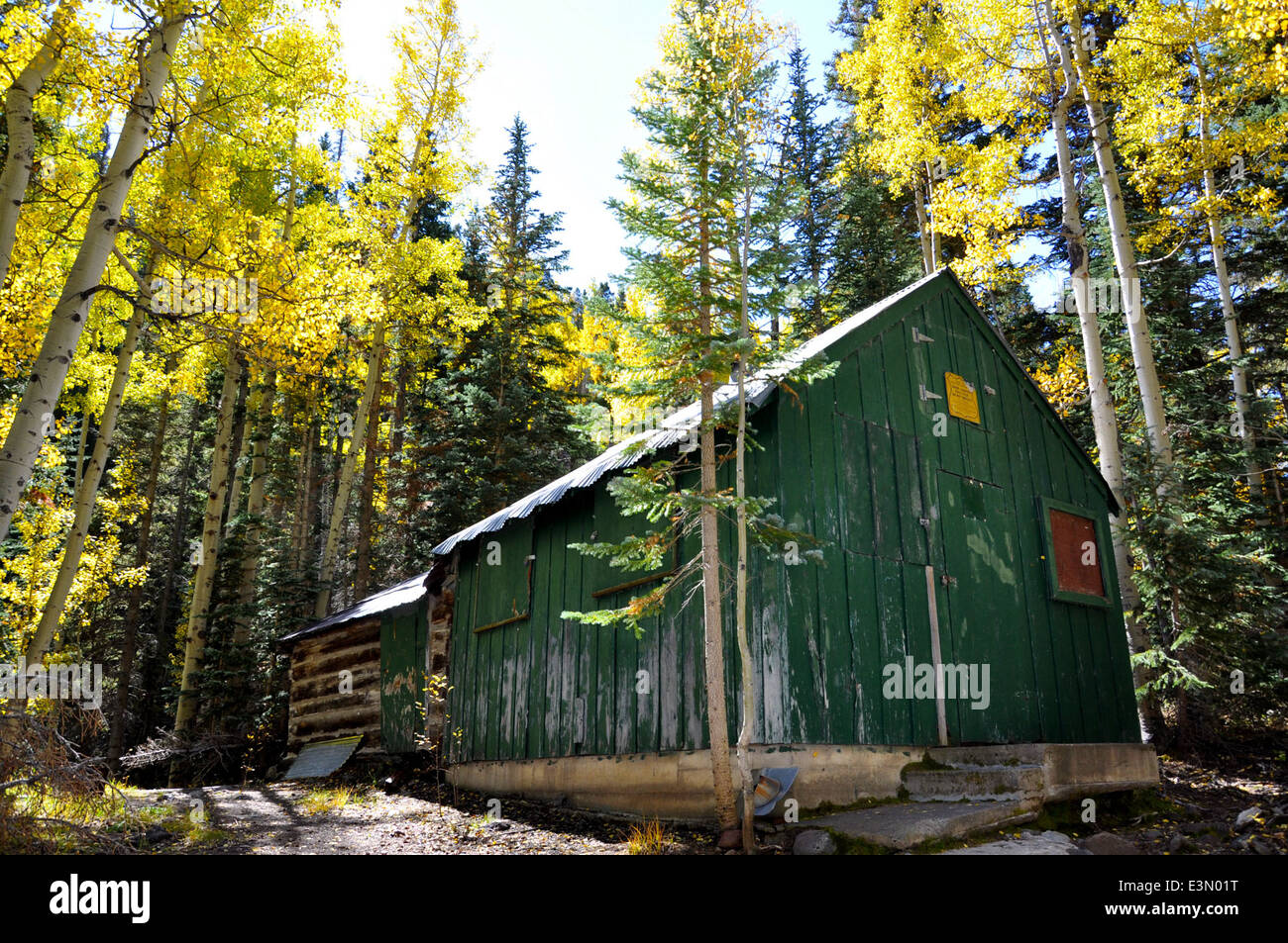 The Inner Basin of Coconino National Forest, located near Flagstaff ...