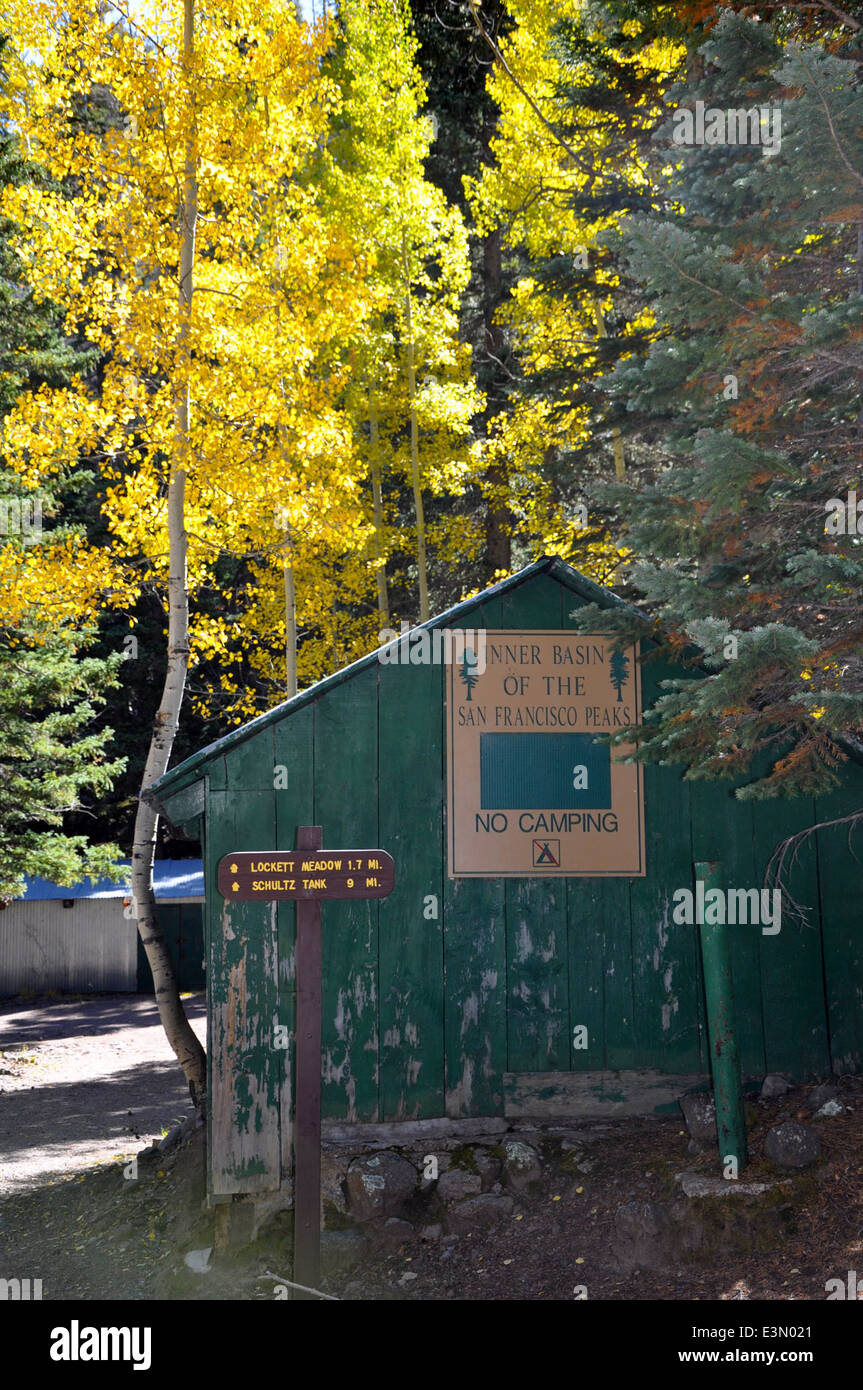 The Inner Basin in Coconino National Forest offers stunning views of ...