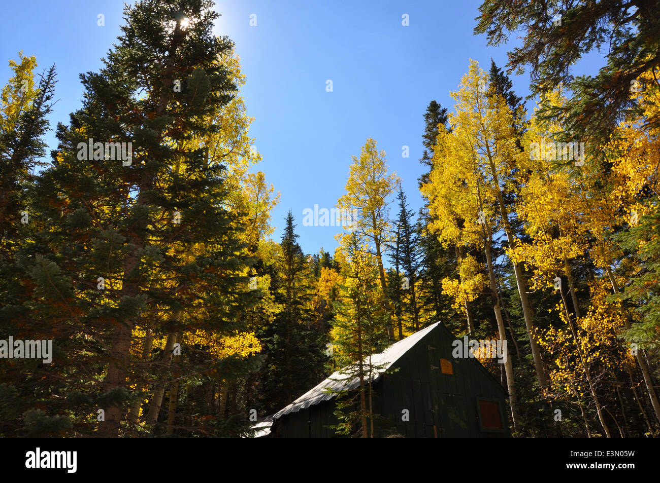 The Inner Basin in Coconino National Forest, photographed on September ...