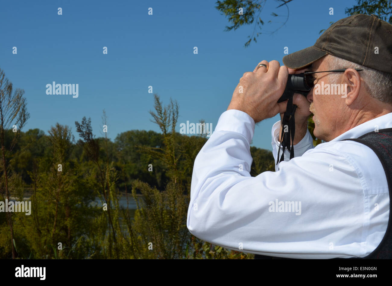 Zooming into forest hi-res stock photography and images - Alamy