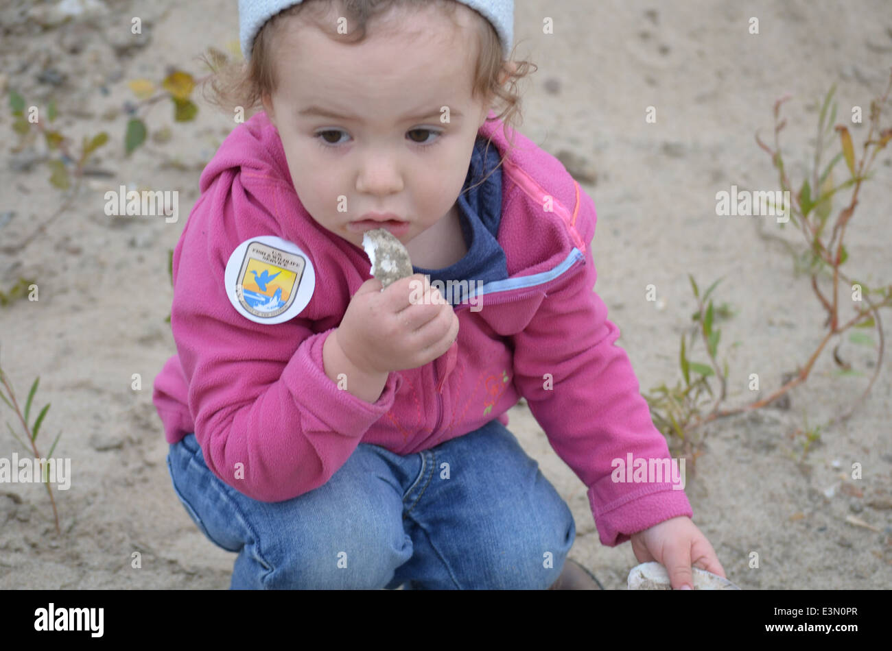 The Big Muddy National Fish and Wildlife Refuge along the Missouri ...