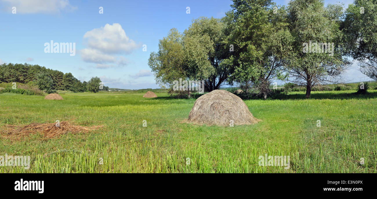 Ukrainian grassland hi-res stock photography and images - Alamy