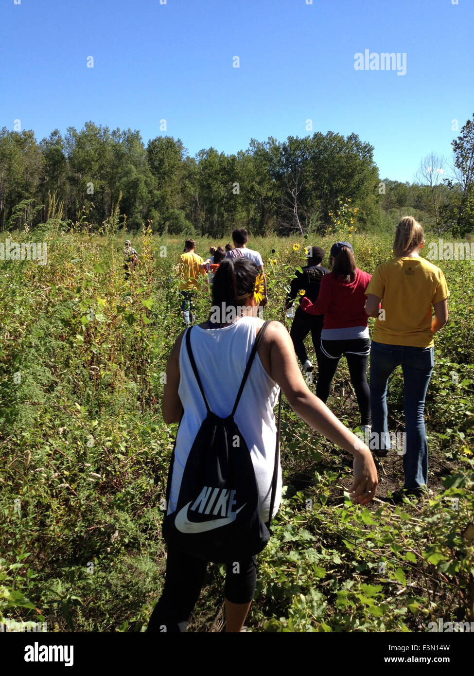 Off the path Stock Photo - Alamy