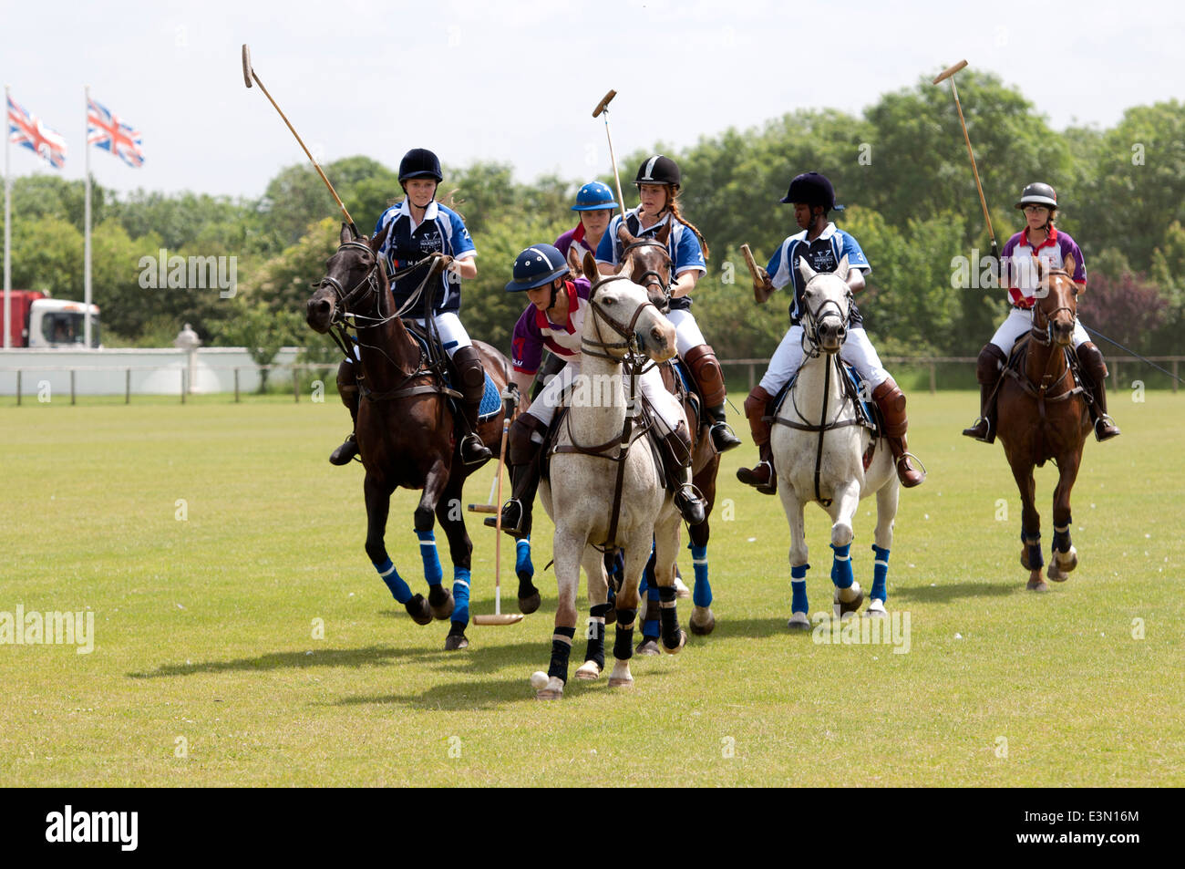 Polo Pitch High Resolution Stock Photography and Images - Alamy