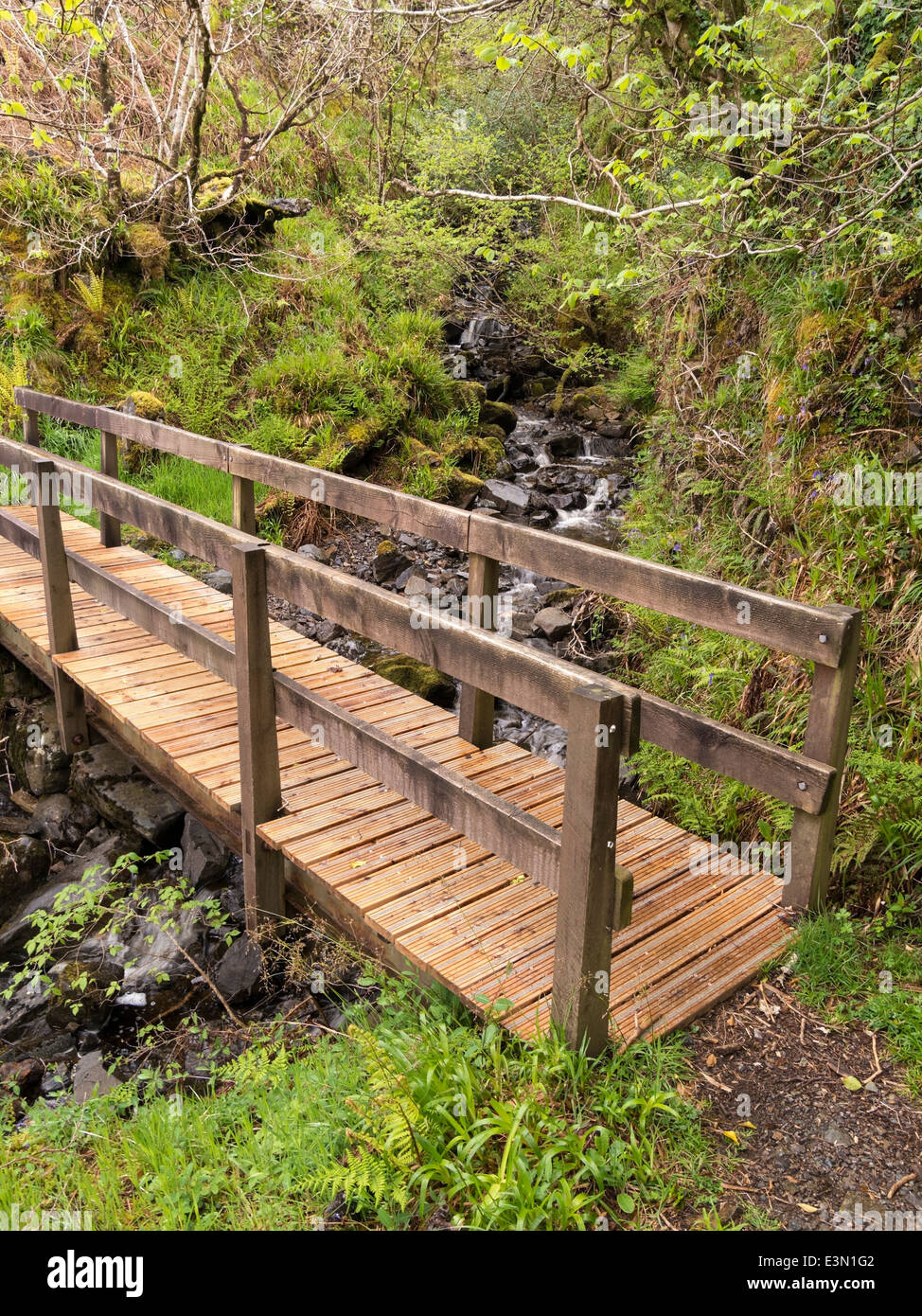 Wooden footbridge hi-res stock photography and images - Alamy
