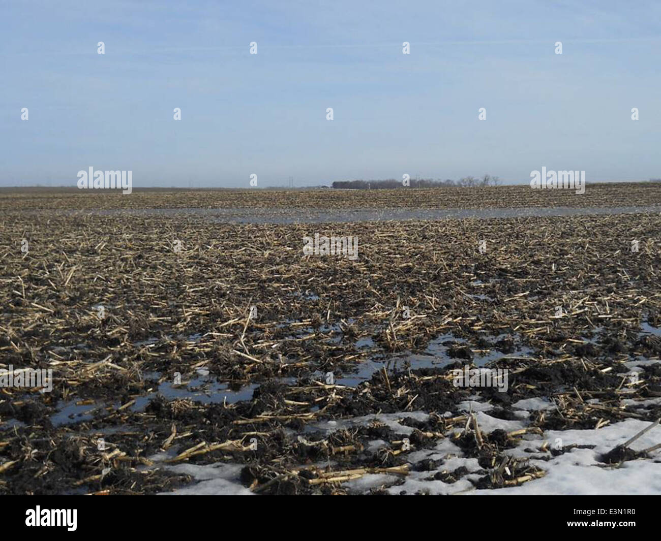 A farmed wetland is a type of managed wetland where farming practices ...