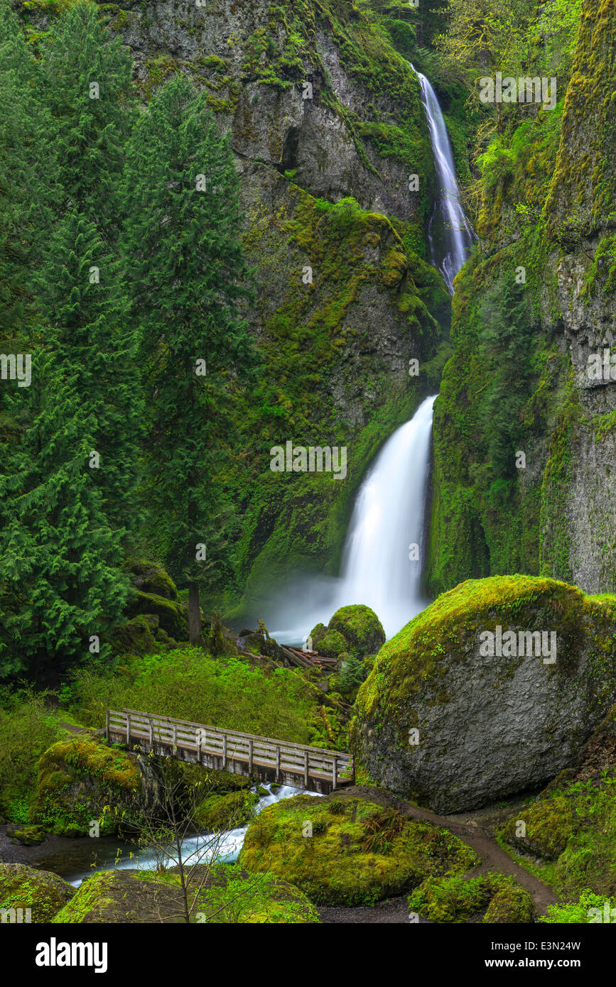 Columbia Gorge National Scenic Area, Mount Hood National Forest, OR ...