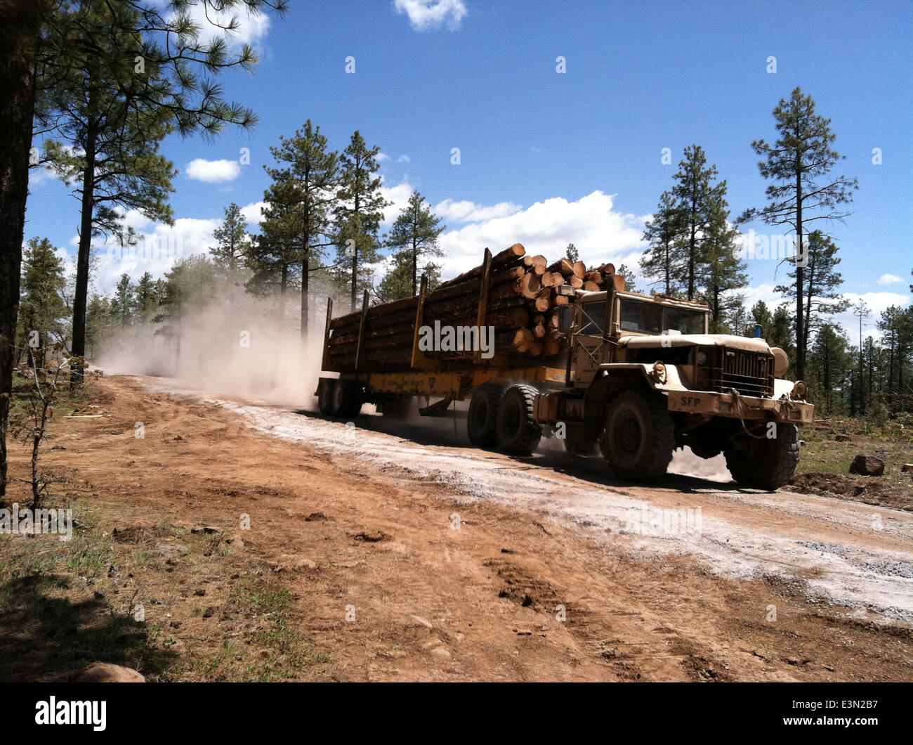 Logging activities in forest areas involve the removal of trees for ...