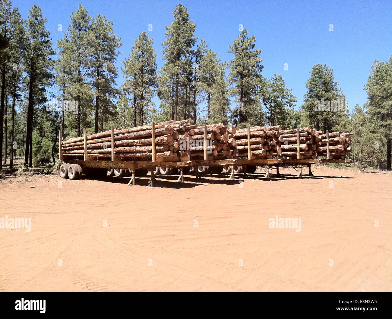 Logging activities in forested areas are critical for timber production ...