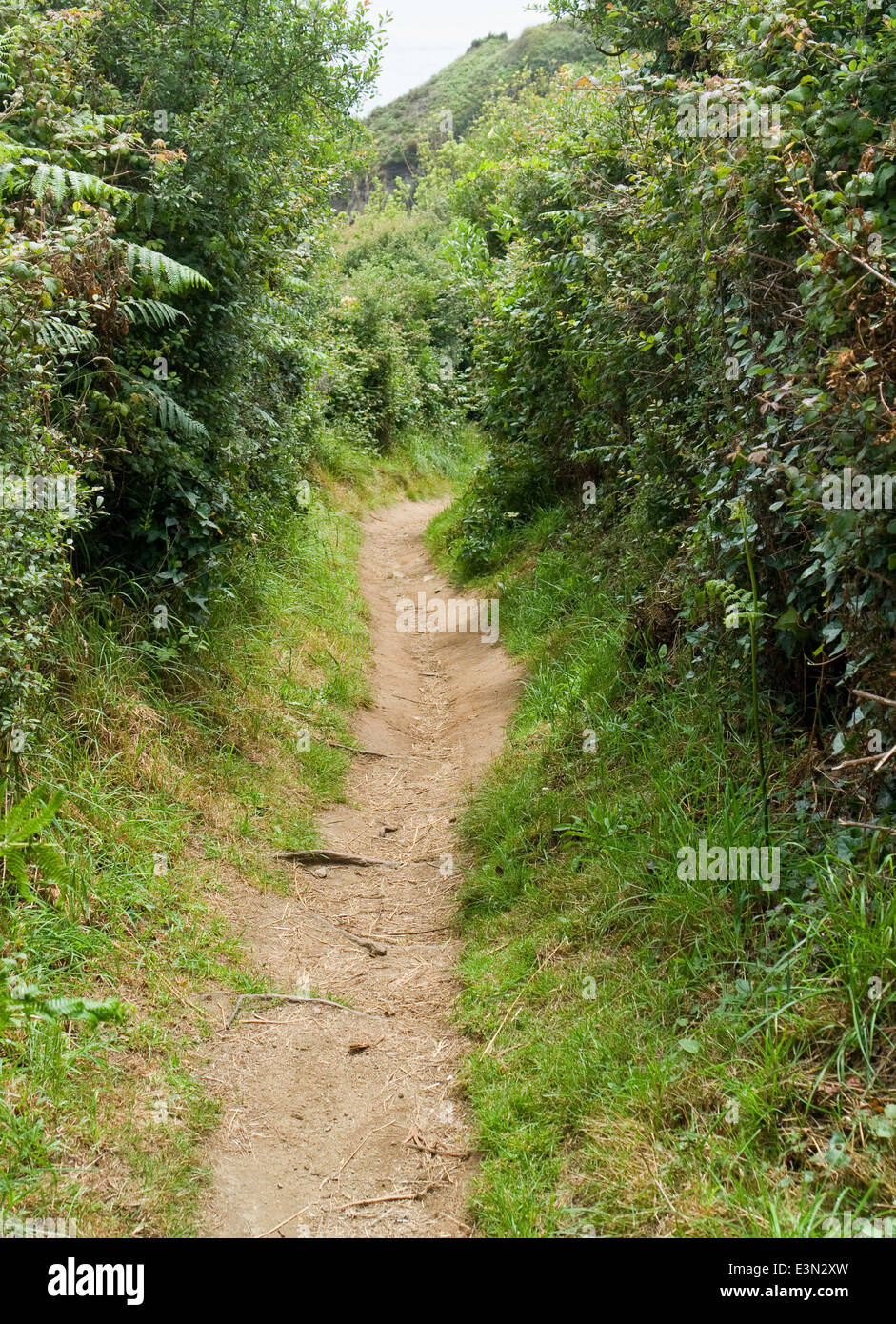 Idyllic footpath at Cap Frehel in Brittany, France Stock Photo - Alamy