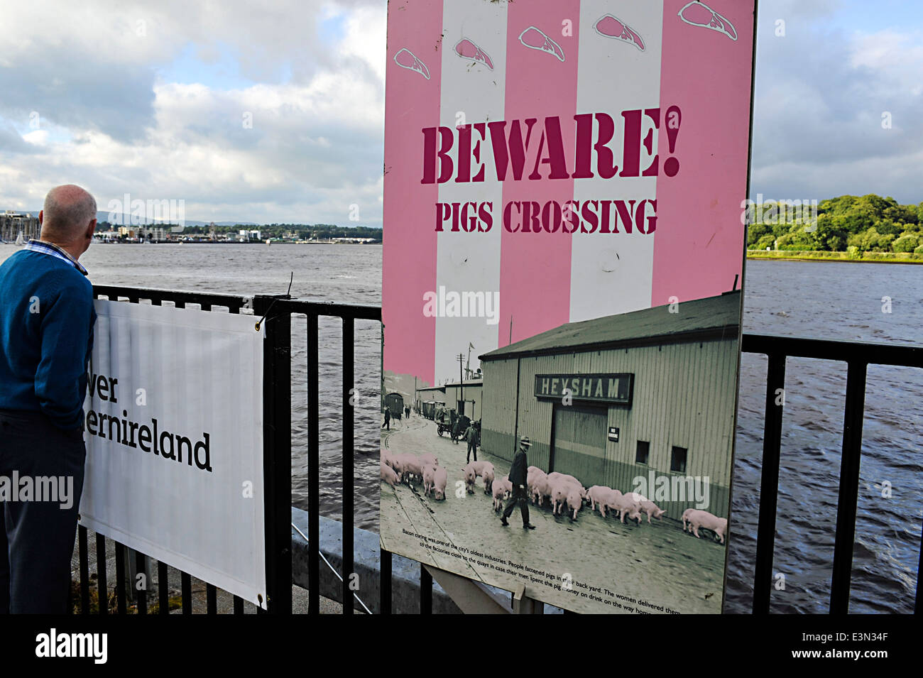 Irish pigs hi-res stock photography and images - Alamy