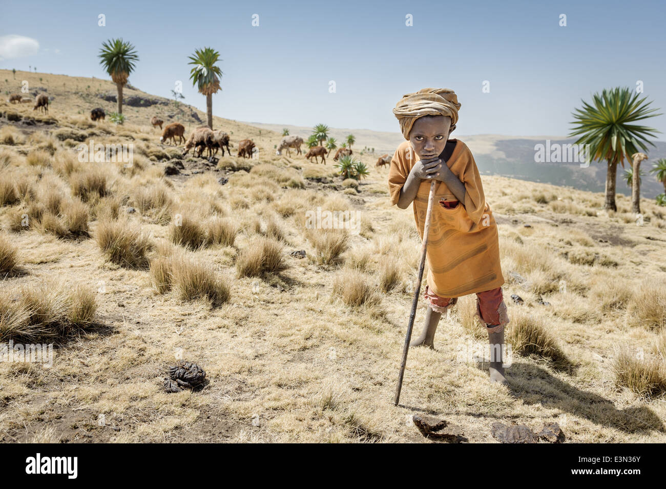 Shepherd boy hi-res stock photography and images - Alamy