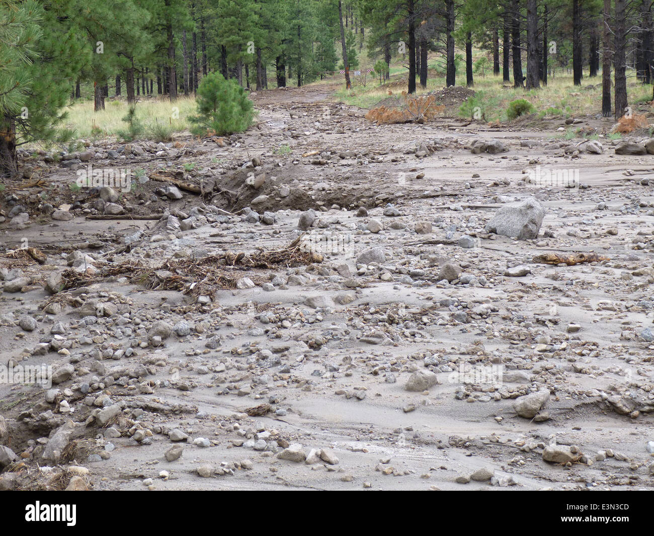 Schultz Pass Road Stock Photo - Alamy
