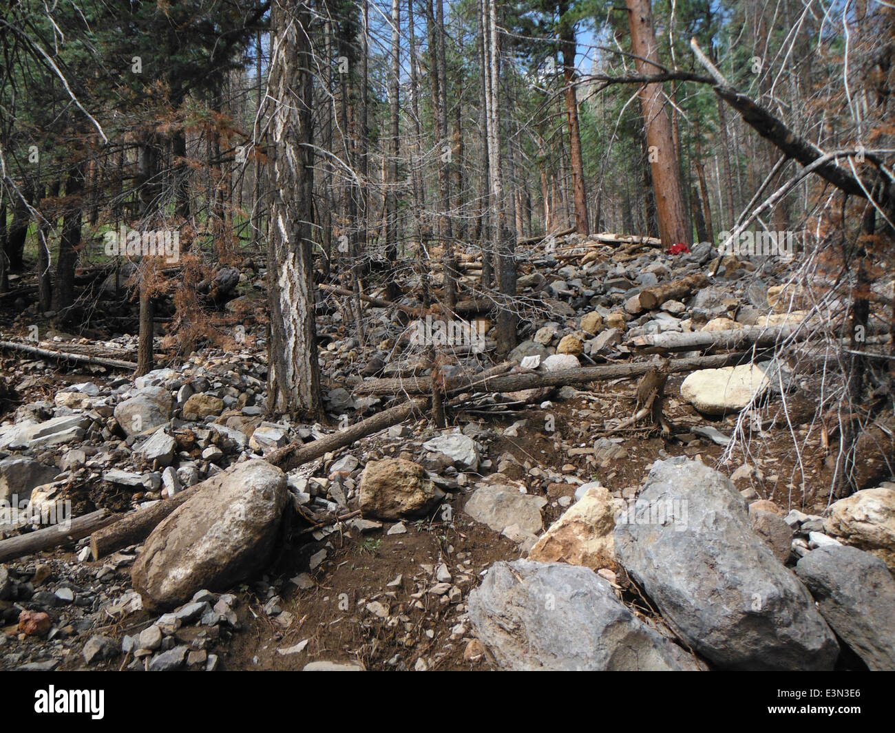 Little Bear Trail flood damage Stock Photo - Alamy