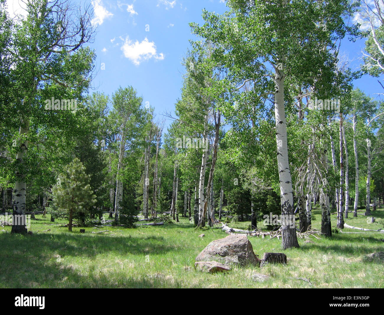 Lockett High Resolution Stock Photography and Images - Alamy