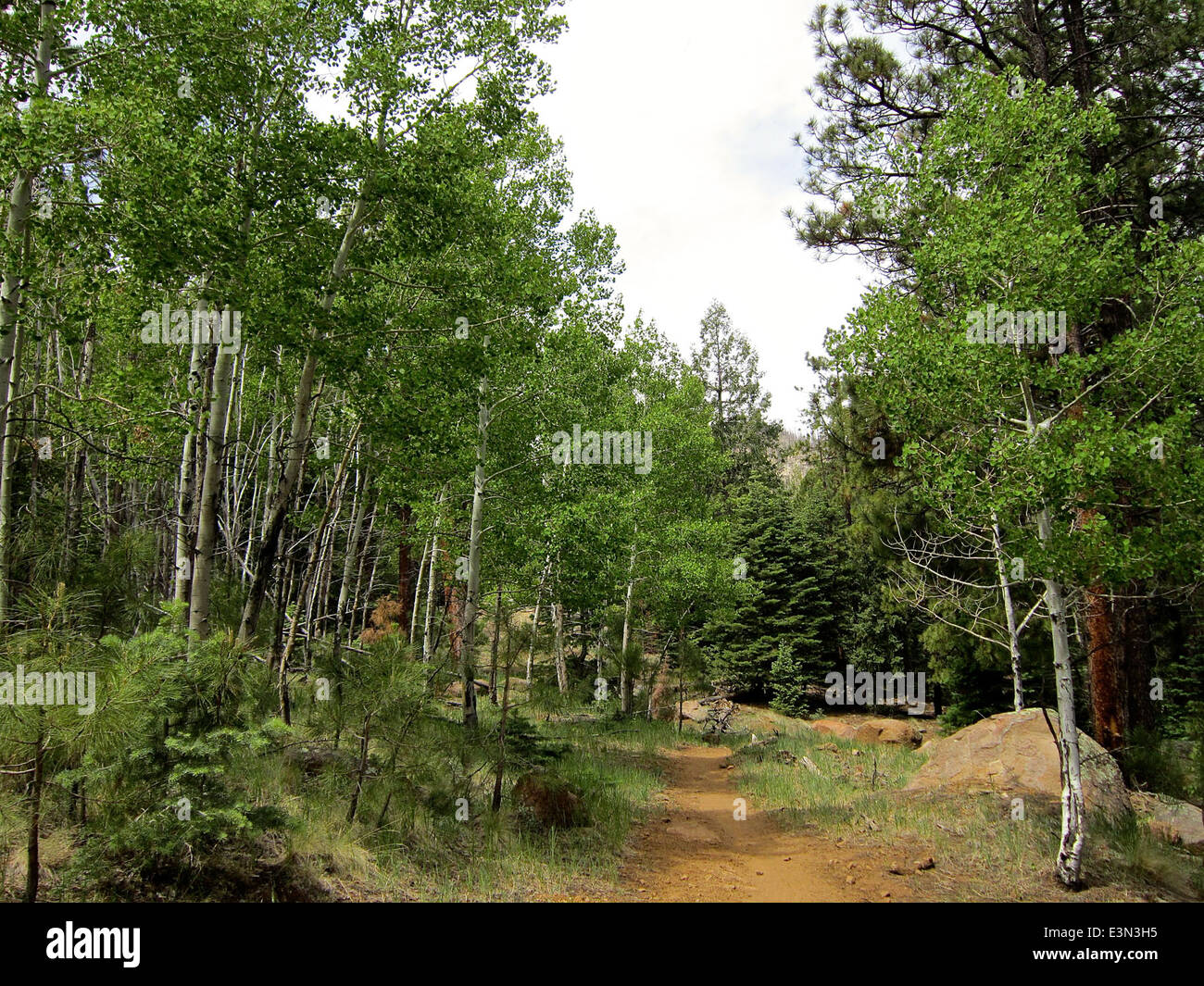 Little Bear Trail Stock Photo - Alamy