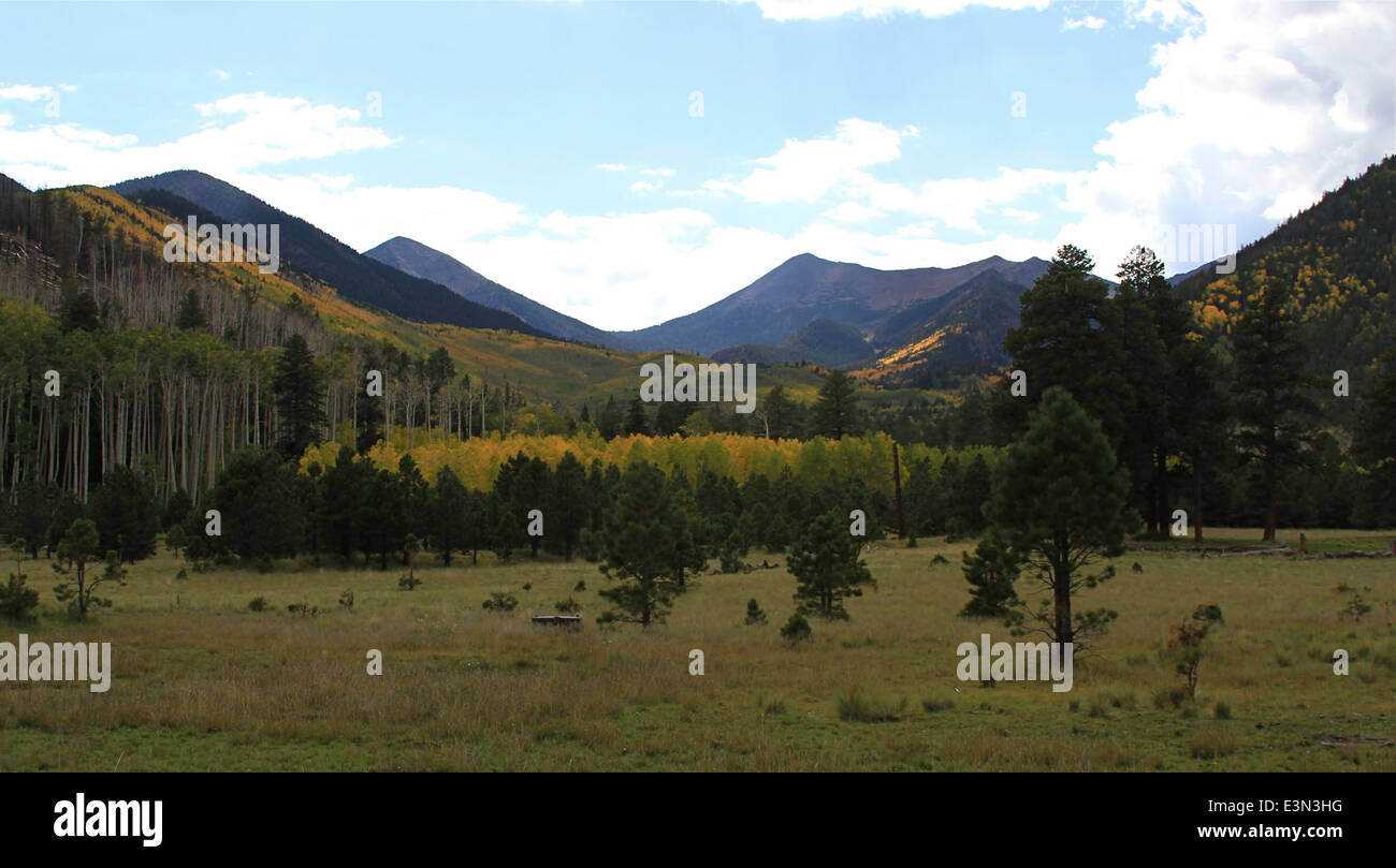 Lockett Meadow High Resolution Stock Photography and Images - Alamy