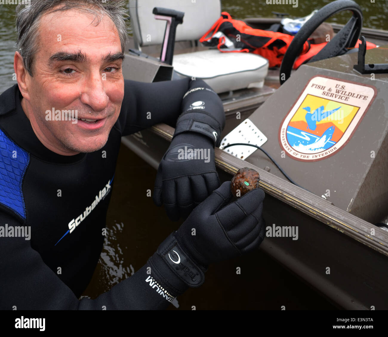Tom Melius, holding a Winged Mapleleaf mussel, an endangered species in ...