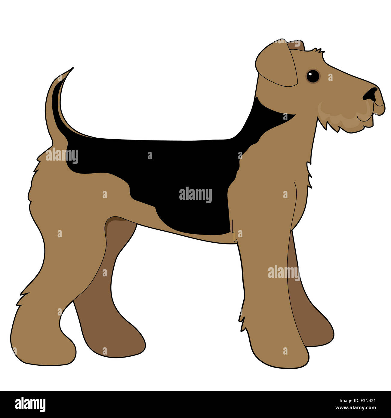 A cartoon illustration of an Airedale Terrier Stock Photo - Alamy