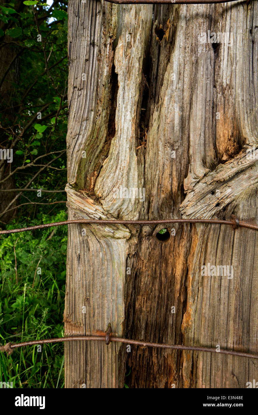 Railway sleeper texture hi-res stock photography and images - Alamy