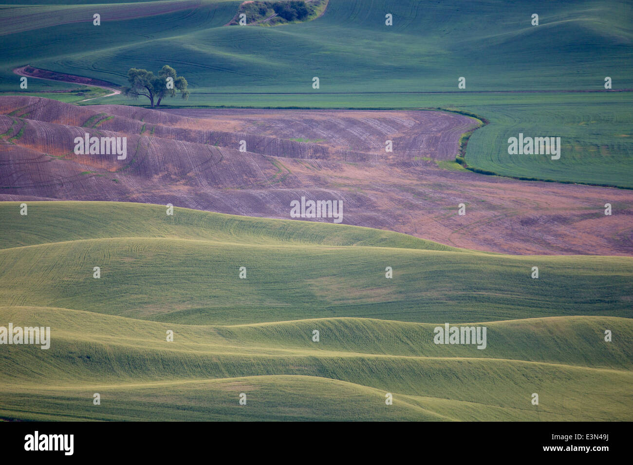 The most beautiful country hi-res stock photography and images - Alamy