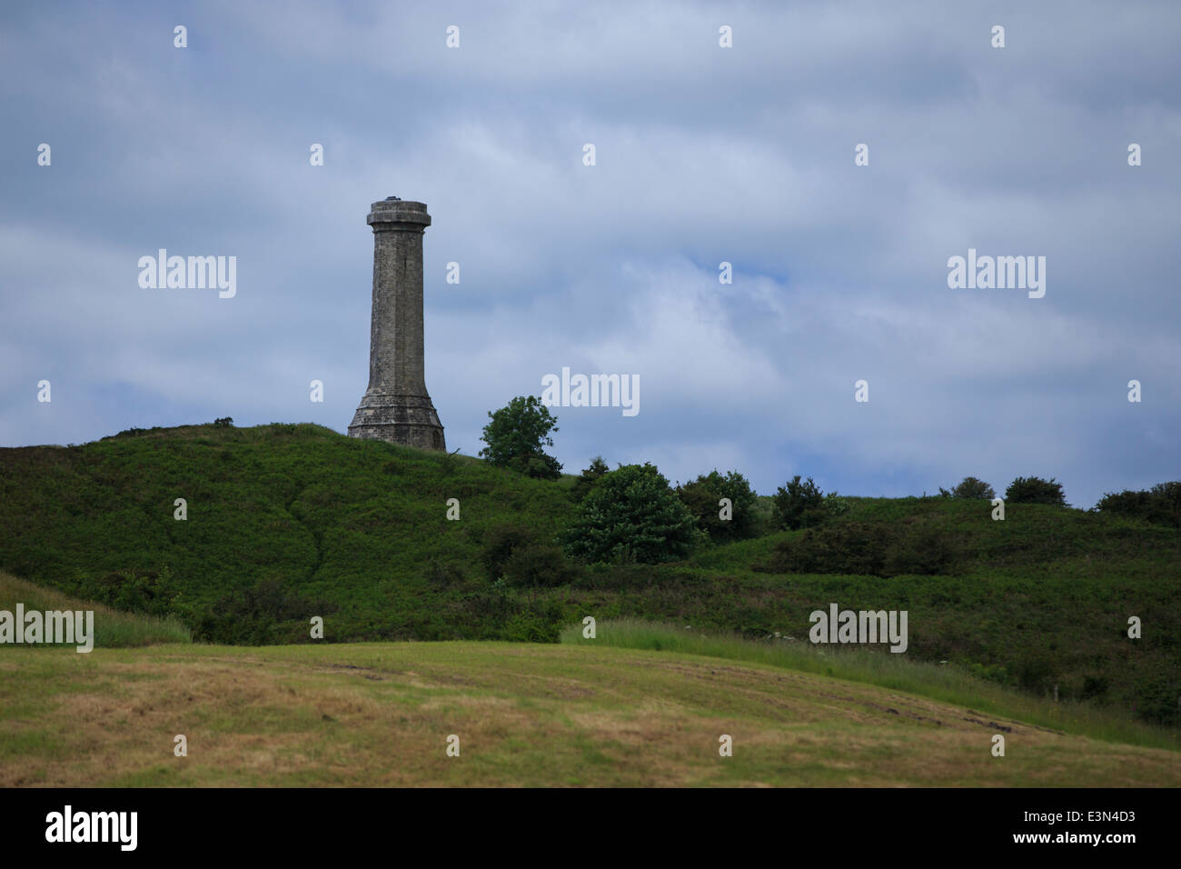 The Hardy Monument near Portesham, Dorset. National Trust property ...