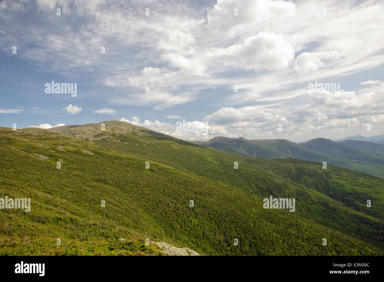 Caps Ridge Trail in Thompson and Meserves Purchase, New Hampshire USA ...