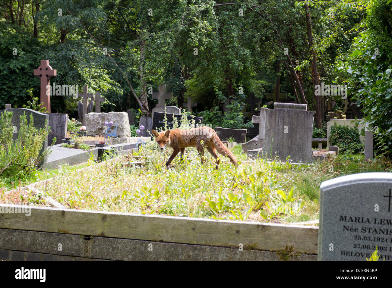 Graveyard uk hi-res stock photography and images - Alamy