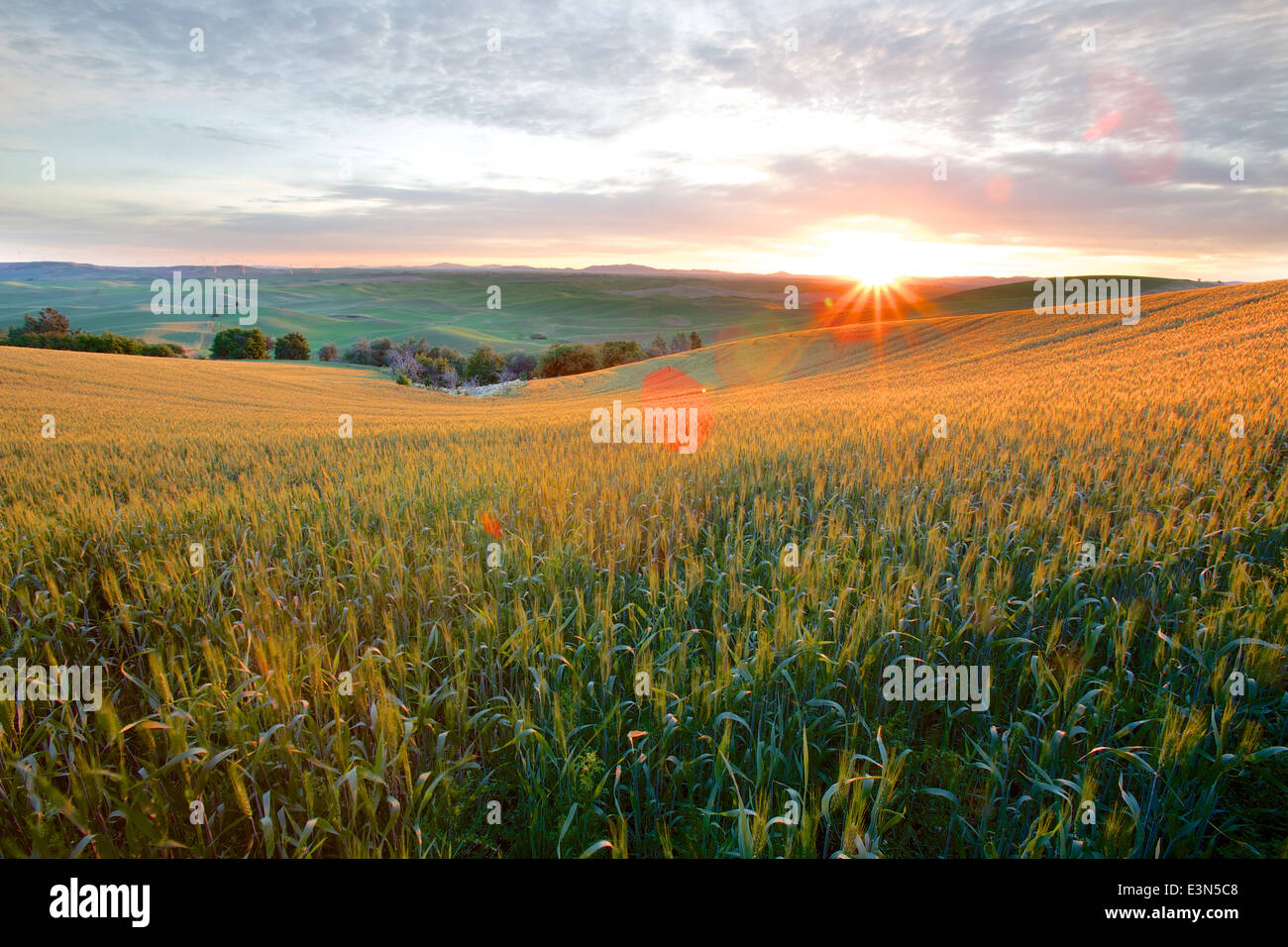 Beautiful country scene of sunrise in America's heartland, the farming ...