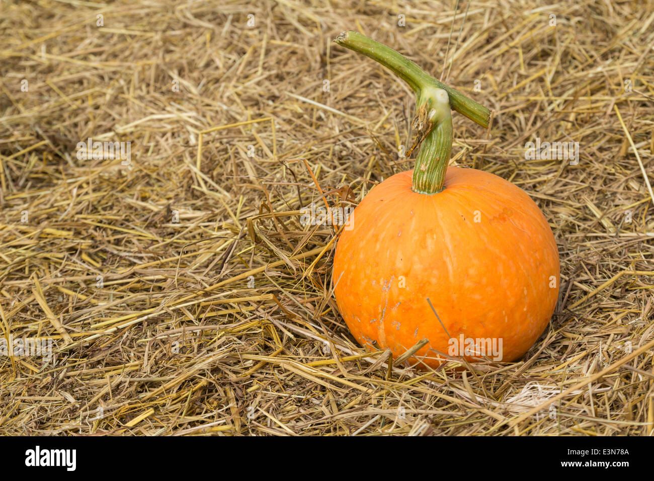 Dry areas hi-res stock photography and images - Alamy