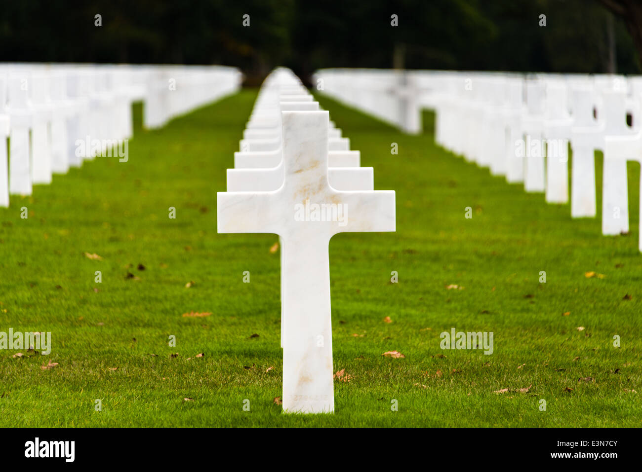 WWII Normandy American Cemetery and Memorial, France Stock Photo - Alamy