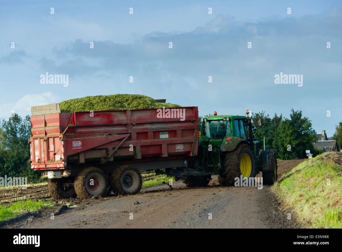 Tractor pulling trailer of corn crop harvest, Normandy, France Stock ...
