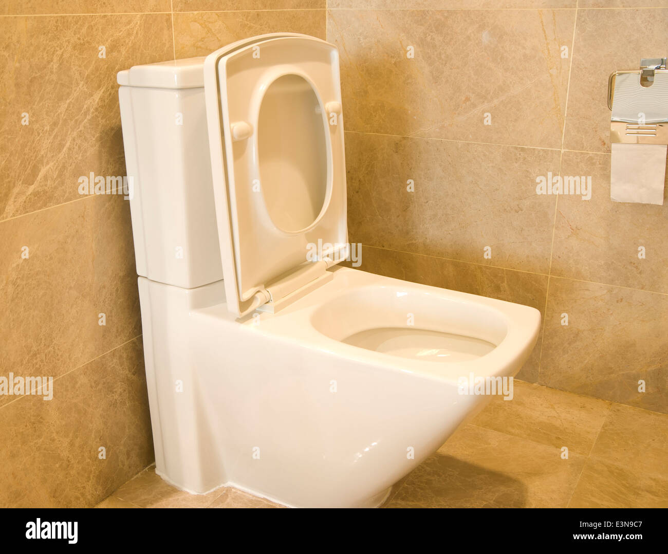 closestool and tissue in a bathroom Stock Photo - Alamy