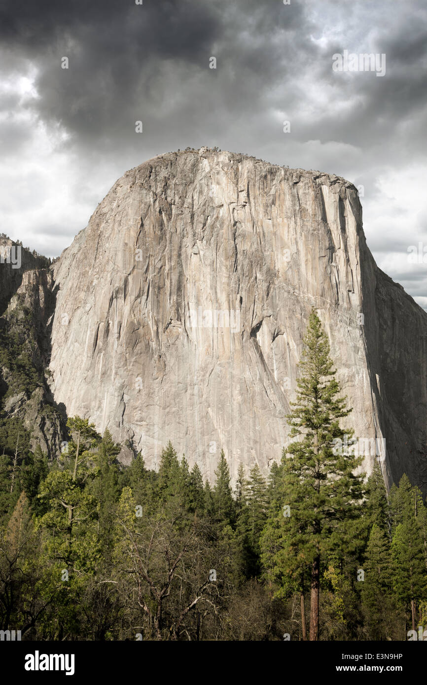 view of nice giant rock in Yosemite national park Stock Photo - Alamy