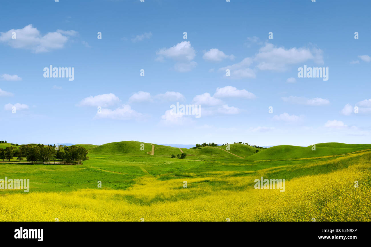 panoramic view of nice green hill on blue sky background Stock Photo ...